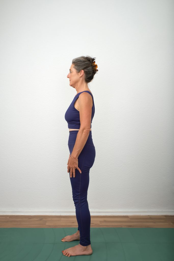 The 7 Vital Principals – Relaxing the Body - All life is yoga